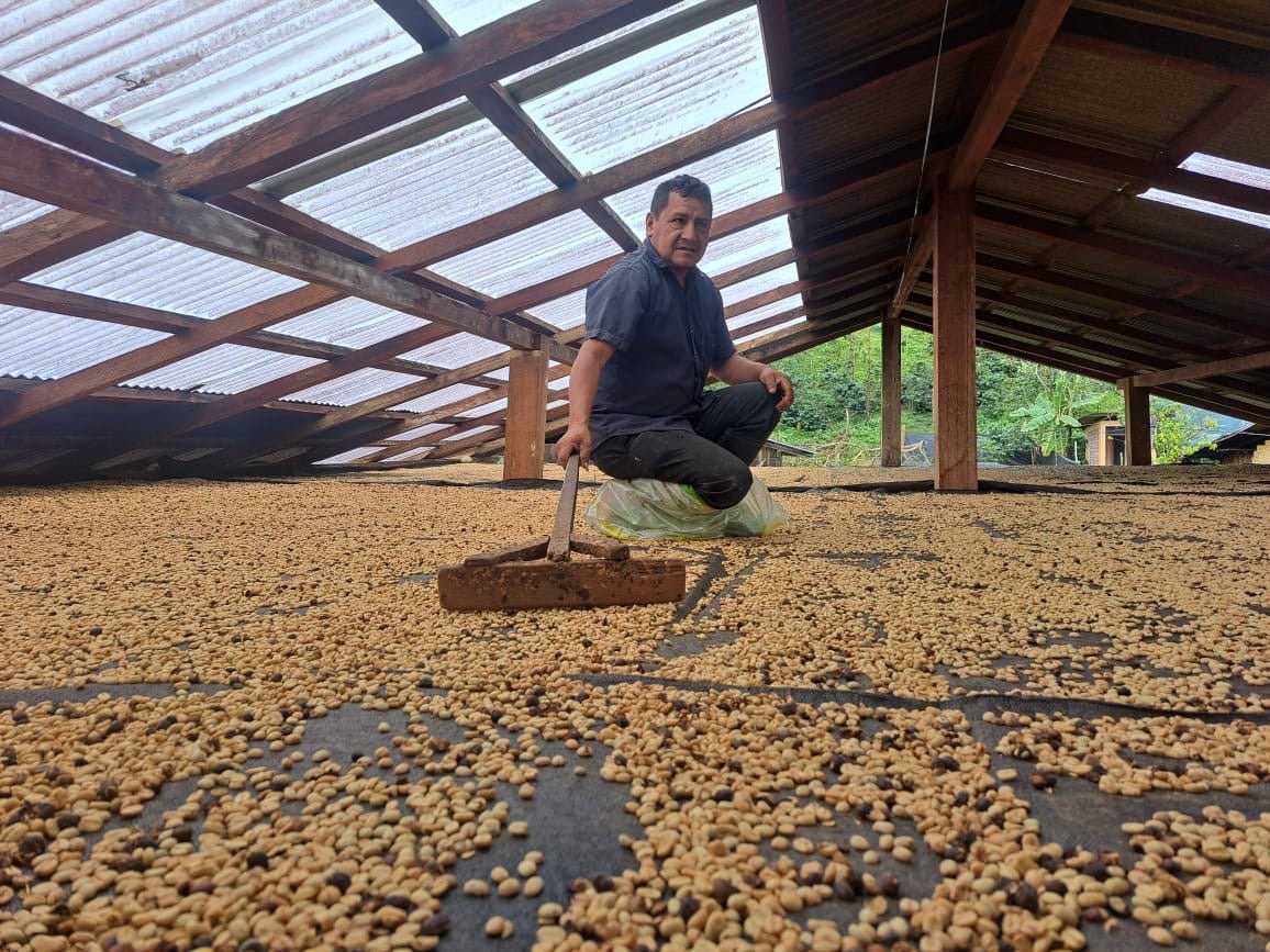 Washed Coffee Beans | Bright, Clean Single Origins | Common Room Roasters